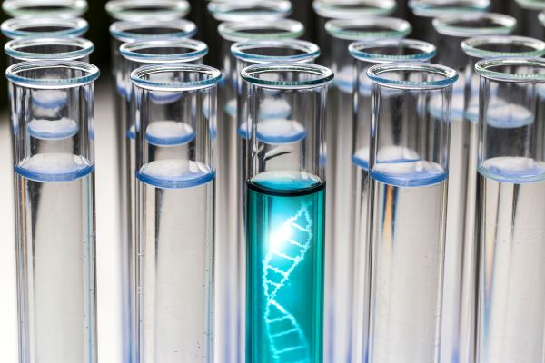 Protest Arrests Lead to DNA Testing
